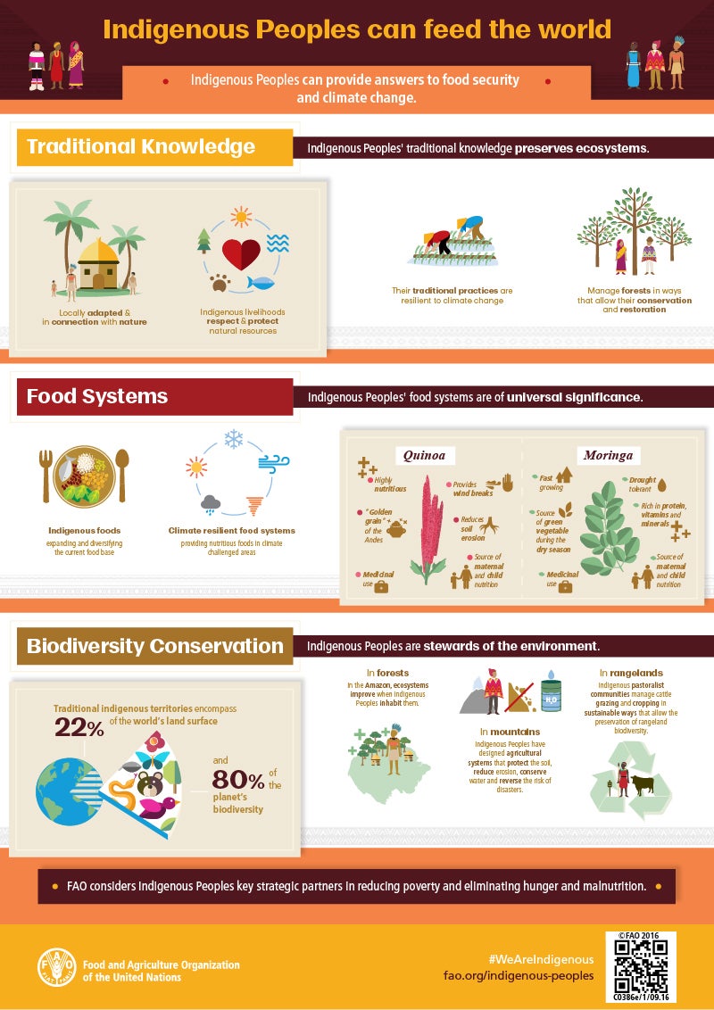 Traditional Knowledge and Climate Change | Wek’éezhìi Renewable ...