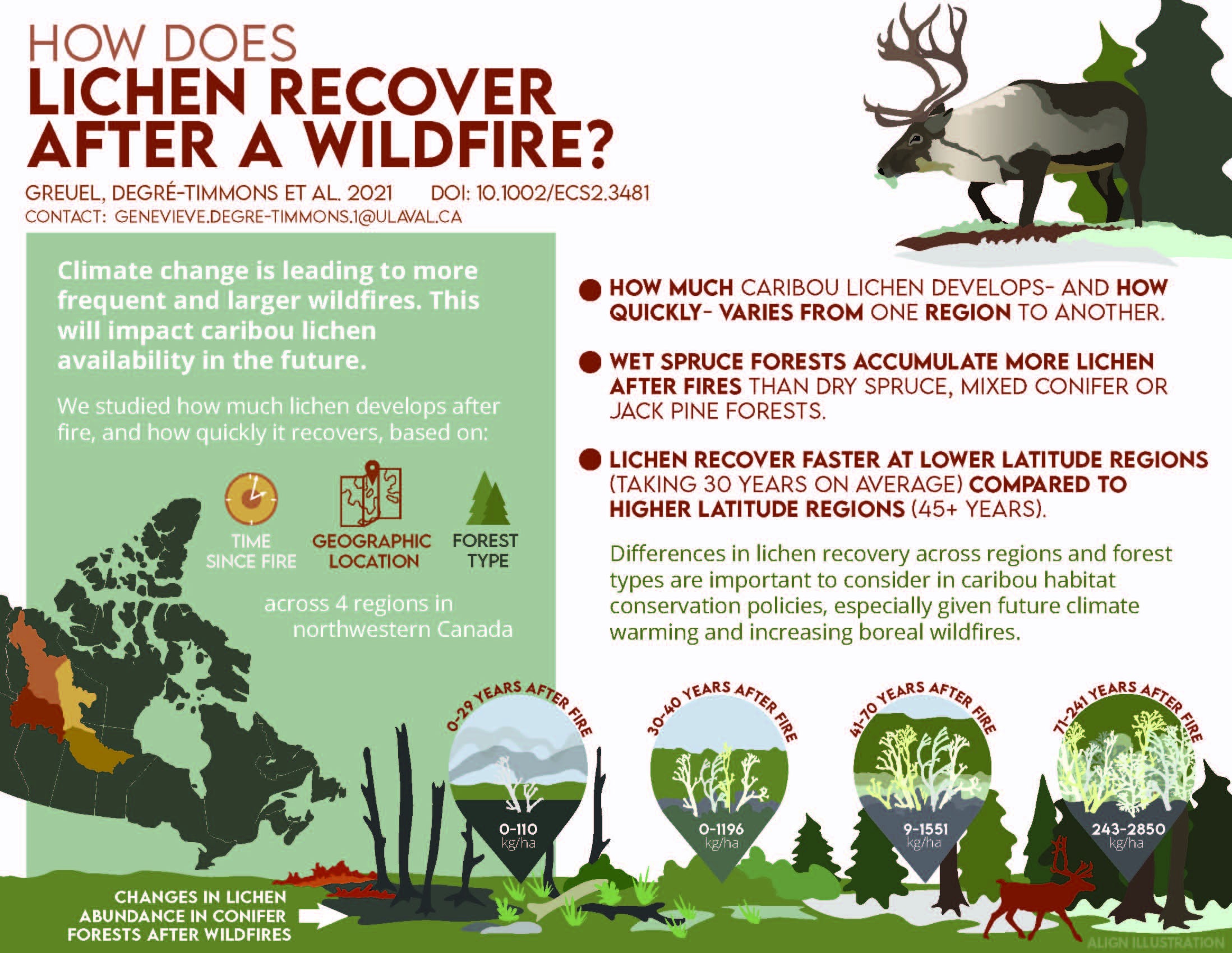 How Does Lichen Recover after a Wildfire? | Wek’éezhìi Renewable ...
