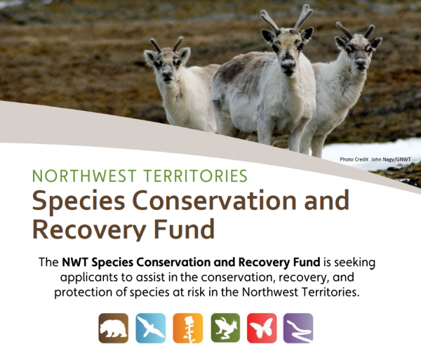 Species Conservation and Recovery Fund | Wek’éezhìi Renewable Resources ...